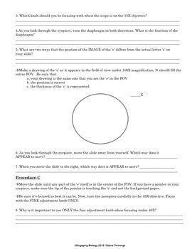 Introduction To Microscopes Lab By Engaging Biology TPT