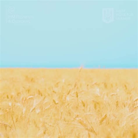 Christopher M Dabrowski On Linkedin Slavaukraini