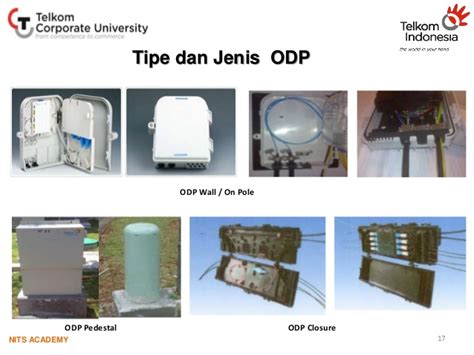 ZahrulHanifahBlog Jenis Jenis ODP