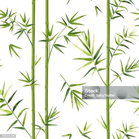 대나무 무늬 수직 나무 줄기와 잎과 일본의 매끄러운 질감 중국 벽지 템플릿 또는 장식 동양 직물 벡터 아시아 녹색 식물 배경 모형 0명에 대한 스톡 벡터 아트 및 기타