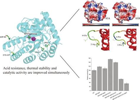 通过多策略计算设计和跨区域优势突变增强 D 阿洛酮糖 3 差向异构酶的稳定性和催化活性 Journal Of Agricultural And Food Chemistry X Mol
