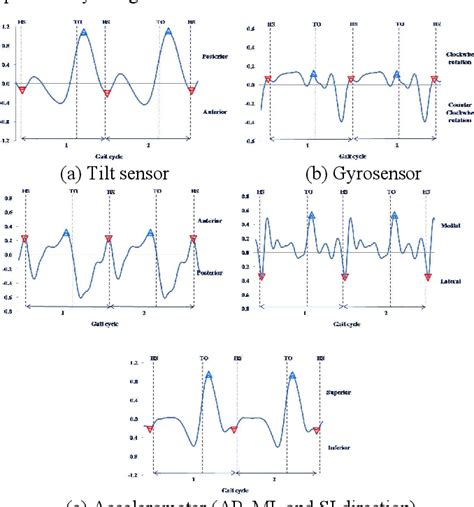 Figure 1 From Analysis Validity Of Sensors Systems For Gait Phase