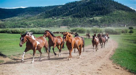 Colorado S Original Luxury Guest Ranch Superior Service At C Lazy U