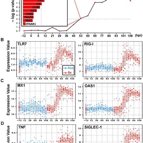 Self Organizing Map Clusters Show Distinct Transcriptional Dynamics In Download Scientific