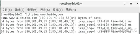 xshell连接不上linux及网卡重启失败解决办法 重启虚拟机网卡失败 csdn博客