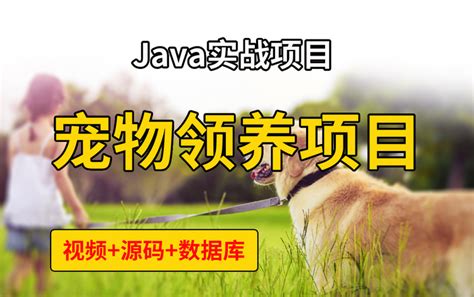 【java毕设】基于ssm的宠物领养系统 知乎