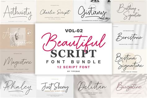 beautiful script font bundle vol 2