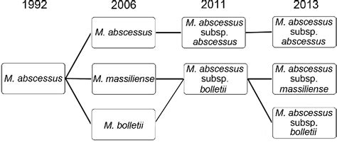 Soft Tissue Disorder Semantic Scholar