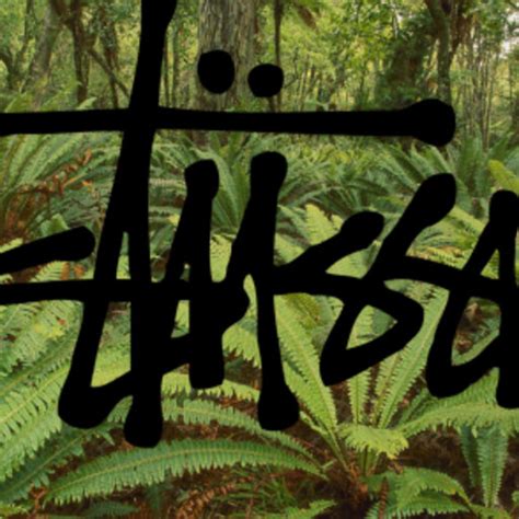 Tianyi Zhang University Of Wisconsin Madison Wisconsin Uw Department Of Psychology