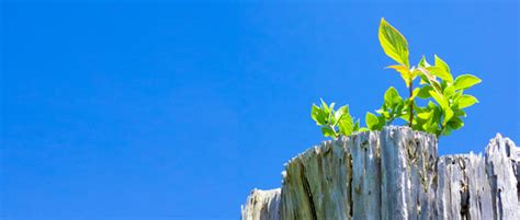 唯一索引冲突，为什么主键的 Supremum 记录会加 Next Key 锁？ 知乎