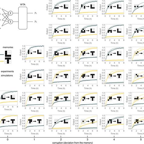 A Winner Take All Dna Neural Network That Recognizes 100 Bit Patterns Download Scientific