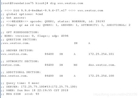 Linuxdns正向解析，域名转换，邮件解析，反向解析，双向解析le Namedlocalhost Allow Update