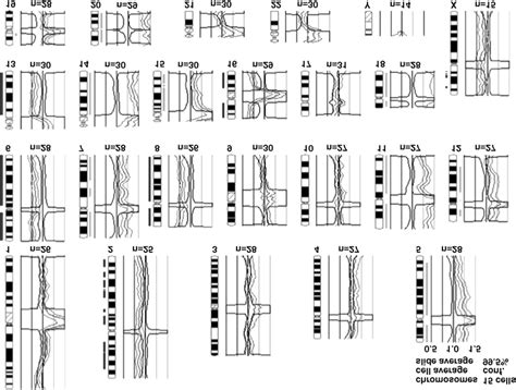 Comparative Genetic Hybridization Revealing That Chromosomal