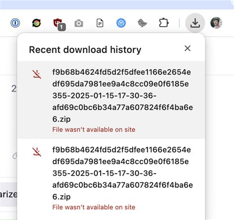 Data Export Download Fails After Link Generation Bugs Openai