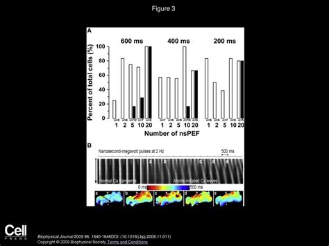 Cardiac Myocyte Excitation By Ultrashort High Field Pulses Ppt Download