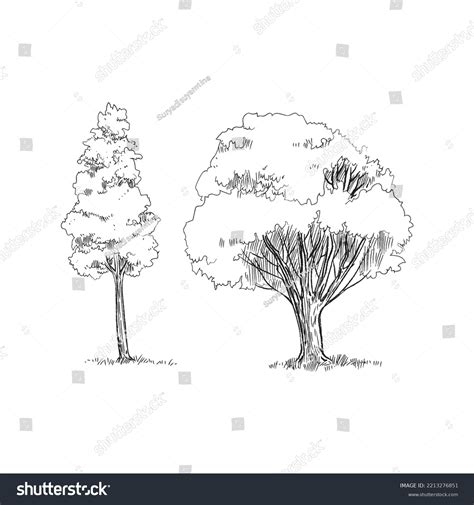 Set Hand Drawn Architect Trees Silhouette Stock Vector Royalty Free