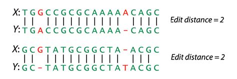 13 sequence alignment bch709 introduction to bioinformatics