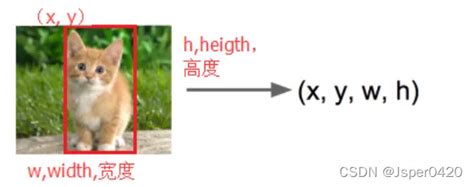 深度学习经典网络解析目标检测篇（一）：r Cnn 阿里云开发者社区