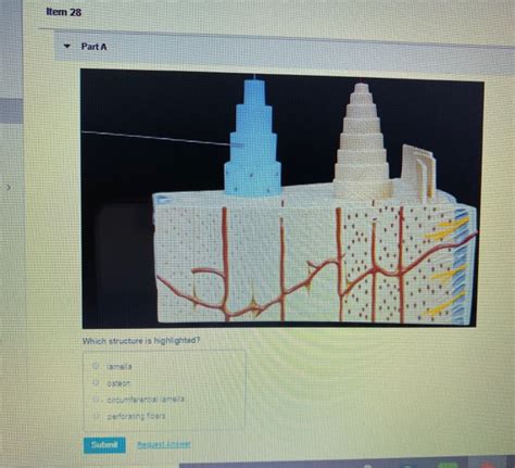 Solved Match Each Of The Following Functions Descriptions