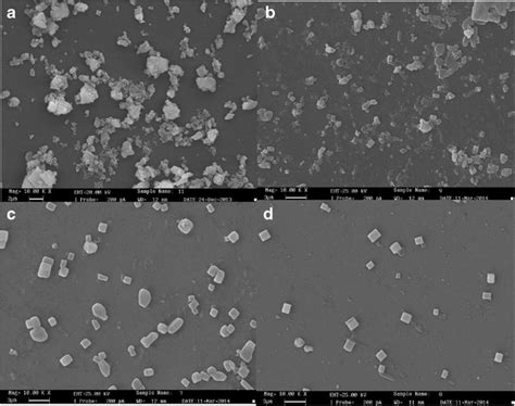 Influence Of Silicate Bacteria And Eps On Surface Morphology Of Download Scientific Diagram