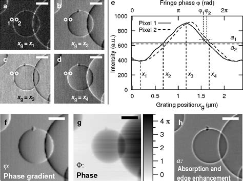 Figure 2 From X Ray Phase Imaging With A Grating Interferometer Semantic Scholar