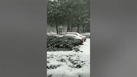 Snofall Shorts Song Movie Funny Snow Snowfall Youtube