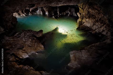 Vast Numbers Of Cave Fish Inhabit A Small Deep Pool Of Sulphurous Water