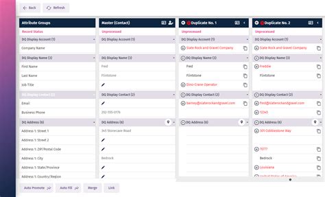 Duplicate Detection And Merge Dq Global