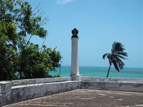 Analysis Of Trophic Structures In Estuarine And Coastal Ecosystems In Pernambuco September