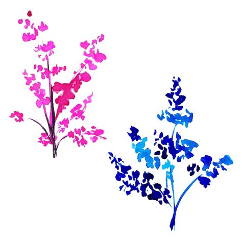 Imágenes De Floracion Lapacho Negro Descarga Gratuita En Freepik