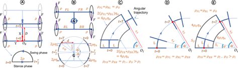 modeling of different gaits a straight locomotion b in place
