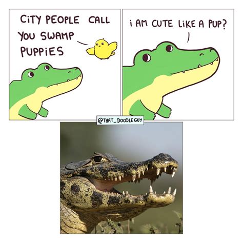 Swamp Puppies Rcomics