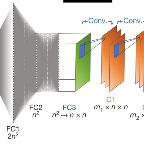 network architecture used by zhu et al [19] for the automap with a