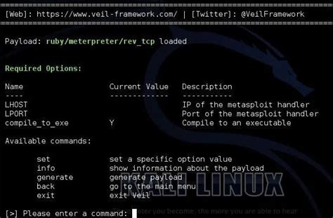 hack like a pro how to evade av detection with veil evasion null