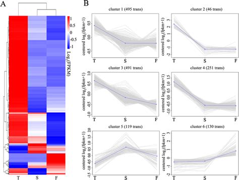 Cluster Analysis Of All Degs A The Clustering Heatmap Of Degs In T Download Scientific Diagram