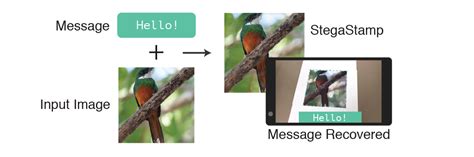 GitHub Umang Kumar Steganography A Simple Python Program To Encode Data Text Image File