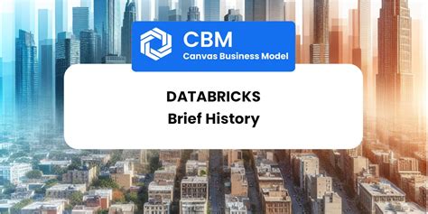 a brief history of databricks