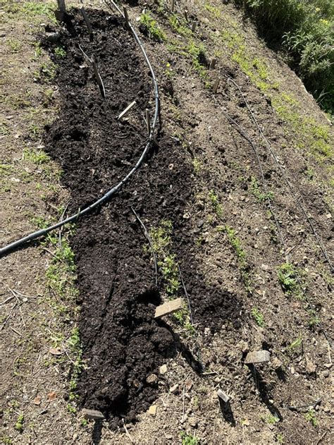 Adding Homemade Compost Rcomposting