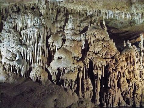 მღვიმეები ნახატები და ვიდეოები