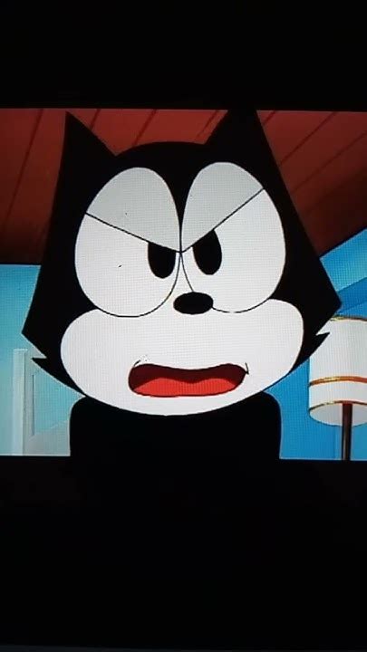 Felix The Cat Is Going Gets Angry 😘😘🥰🥰🥰🥰🥰🥰🥰 Youtube