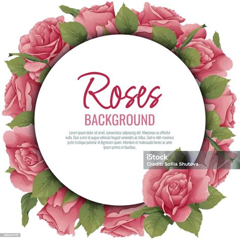 장미와 둥근 프레임입니다 분홍색 꽃과 녹색 잎이 있는 비네트 배경 식물 요소가 있는 엽서 벡터 그림 0명에 대한 스톡 벡터 아트 및 기타 이미지 Istock