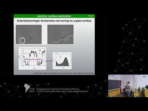Free Video Emergence Of Order In Active Matter From Synchronization Of Moving Oscillators To