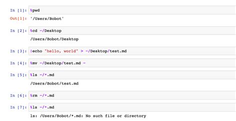 ipython 中常用的魔法命令 csdn博客