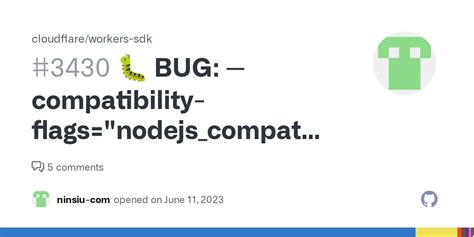 🐛 bug compatibility flags nodejs compat experimental local doesn