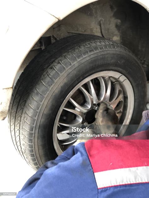 외부 타이어를 변경 전기 드라이버와 자동차 정비사 남자 자동차 서비스 타이어 설치 개념 겨울 과 여름 타이어의 교체 손은 바퀴에 타이어를 교체합니다 교통수단에 대한 스톡