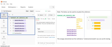 An Introduction To Postman For Sap Functional Consultants Api Testing