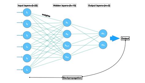 Deep Backpropagation Neural Network Download Scientific Diagram