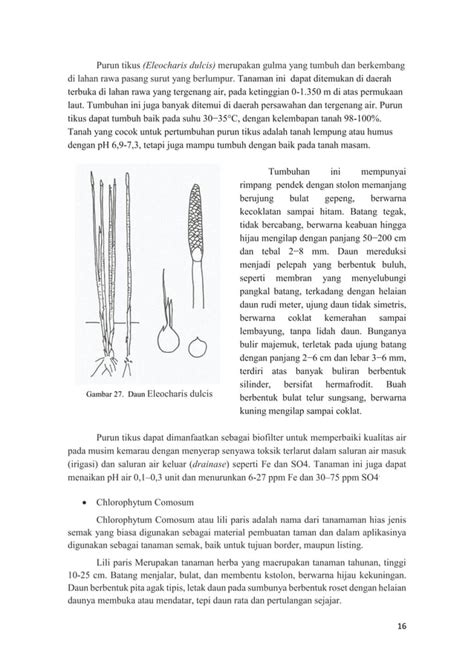 (Al5103) deskripsi tanaman syarifah nisa | PDF