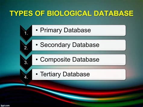 Primary And Secondary Database Ppt