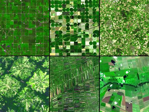 Agricultural Patterns